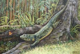 Rodrigues Giant Day Gecko