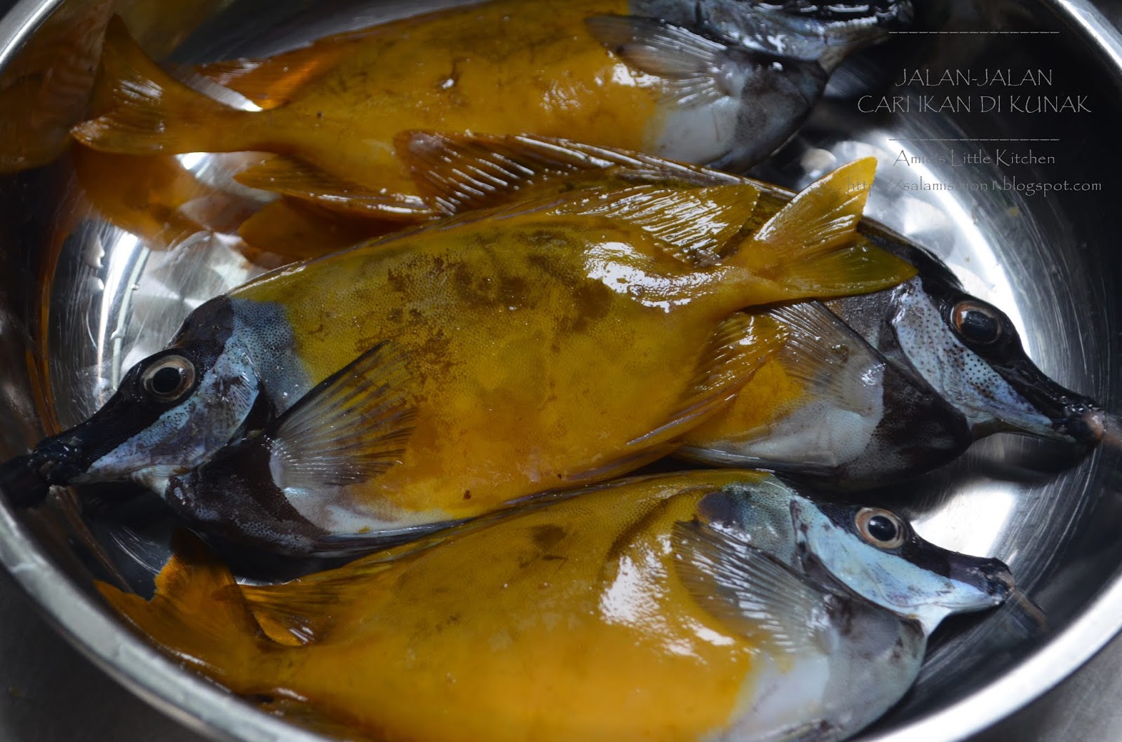Jalan-Jalan Cari Ikan di Kunak - Amie's Little Kitchen