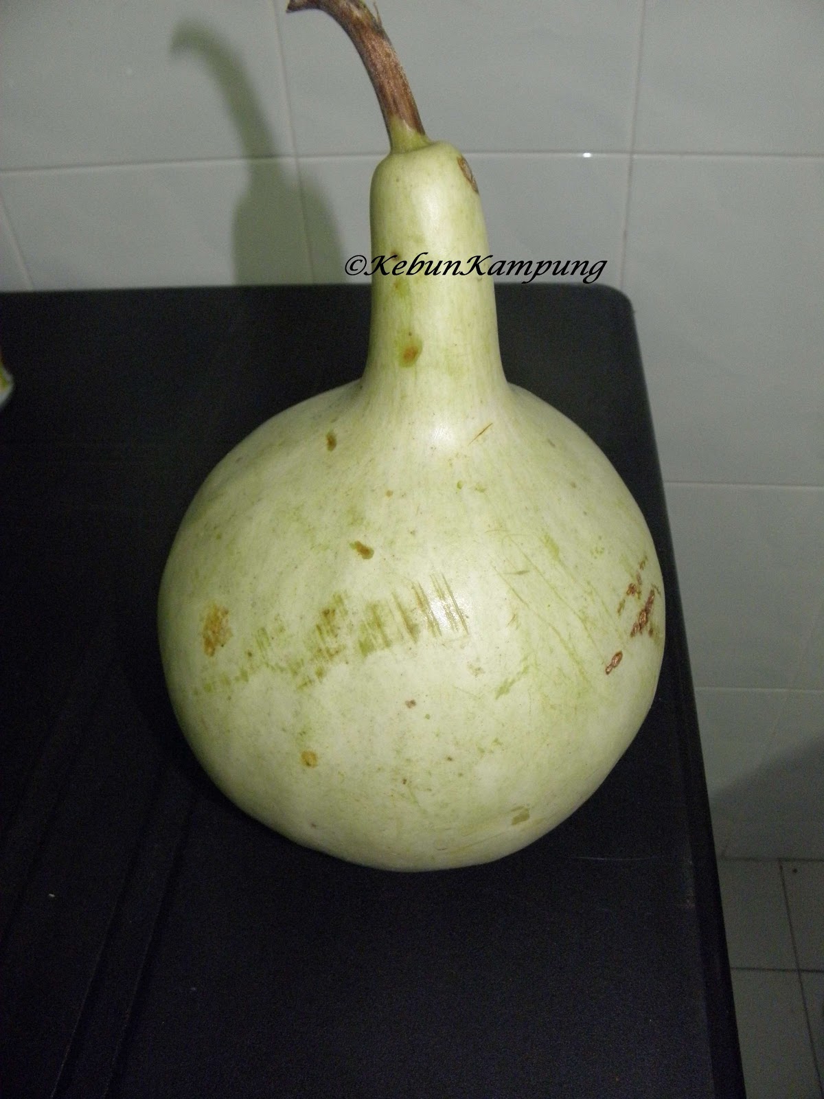 ketam kulit lembut dan kundur labu