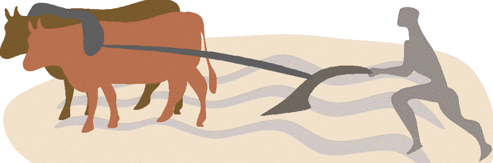 The Yoke of Christ: What is the yoke of Christ?