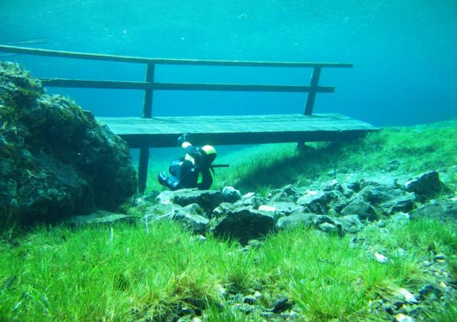 Indahnya Padang Rumput di Bawah Laut - airport.id
