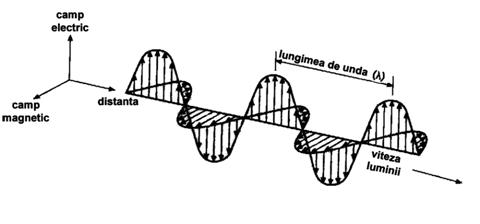 Agenda Creciun Cristina: Undele electromagnetice-Fizică.