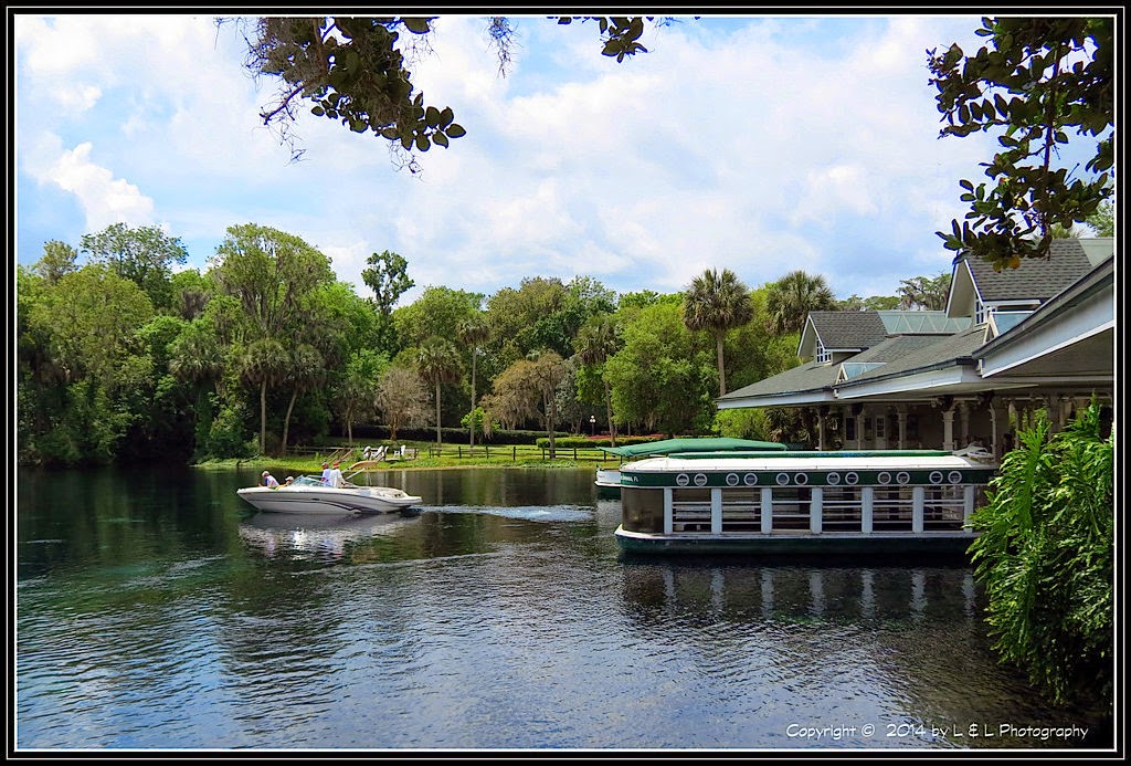Ocala, Central Florida & Beyond: Silver Springs State Park