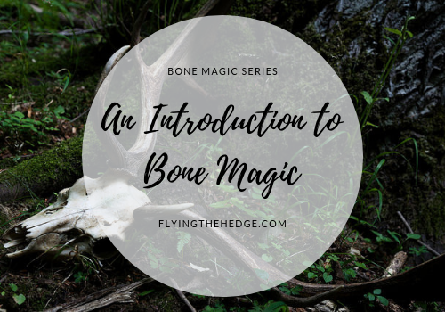 Flying the Hedge: Bone Magic Series: Introduction