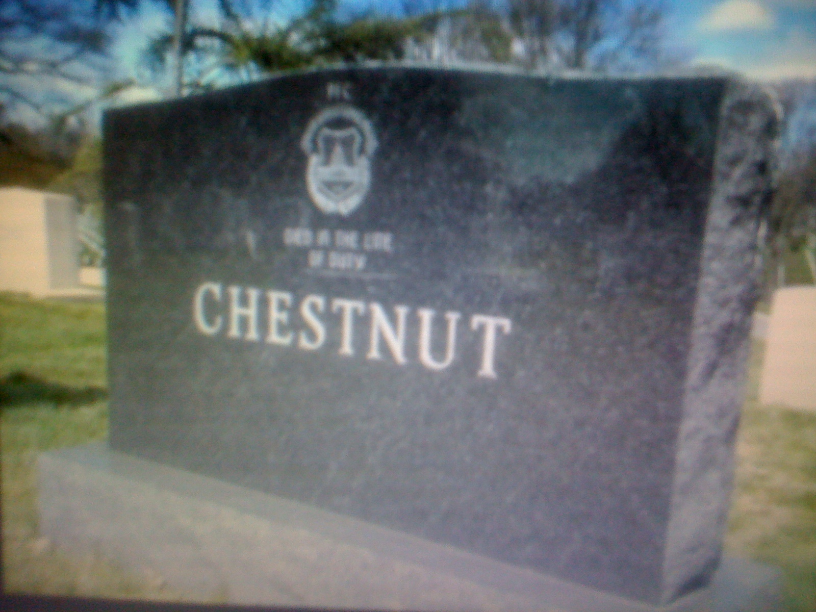 THE BLACK SOCIAL HISTORY:: BLACK SOCIAL HISTORY : AFRICAN AMERICAN ...