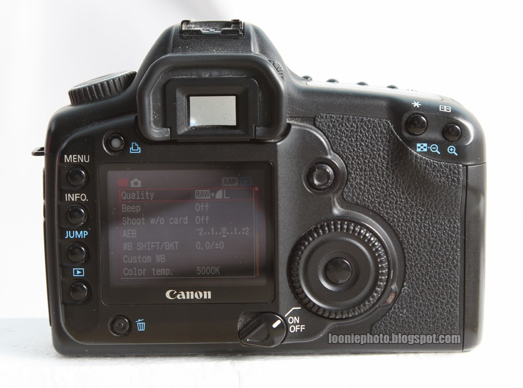 The Loonie Photography Page: Test of Time Review: Canon EOS 5D Classic