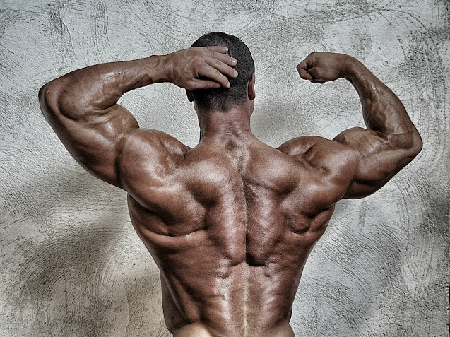 Muscle Lover: French master bodybuilder Laurent Bernardini