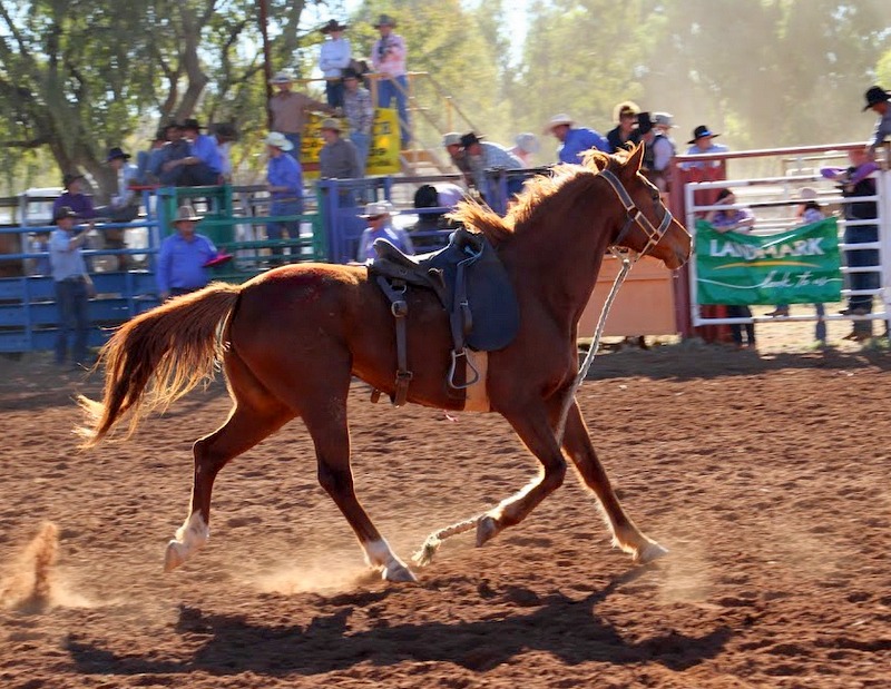 Tabubilgirl: The Dr Tabubil Files: The Quamby Rodeo, Part One