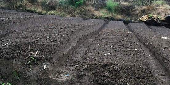 Jenis Tanah Di Indonesia Dan Persebarannya