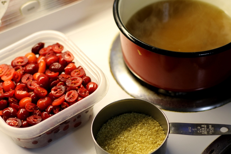 DIY Homemade Craisins | Gypsy Farmgirl