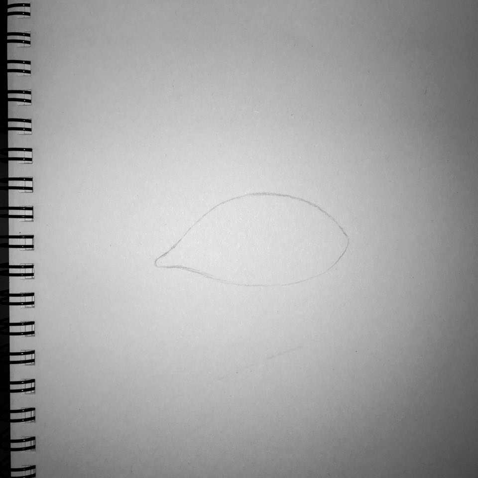 How to Draw an Eye: For Beginners - ECLECTIQUE.