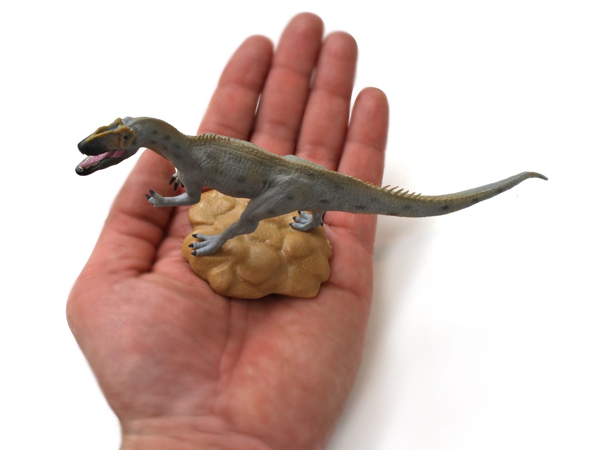 動物フィギュアの箱庭blog: ミニチュアプラネットの新製品、オーストラリアシリーズが入荷しました！