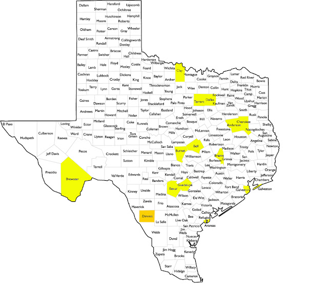 Understanding a History of Slavery. : Texas