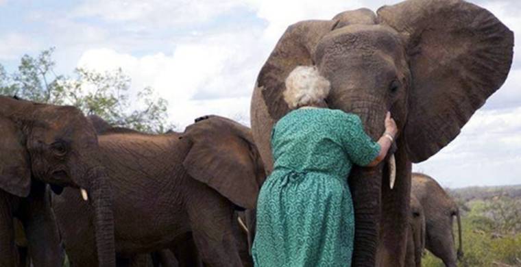 Orphaned Elephants Always Line Up To Hug Woman Who Saved Their Lives