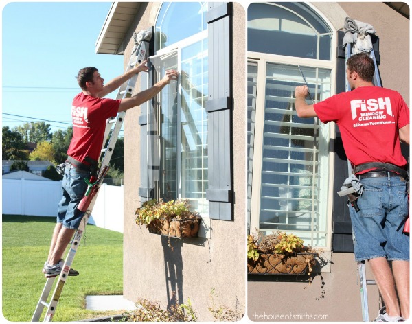 Fish Window Cleaning - Brightening your World!