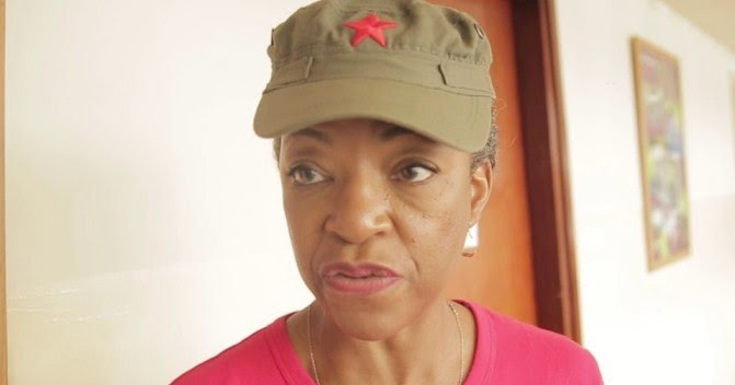 Isyaku Rabiu, Ayo Obe Disown Political Party Nigeria Intervention Movement