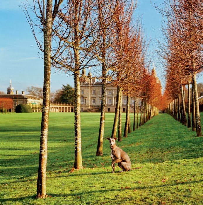 loveisspeed.......: Houghton Hall.... Built in the 1720s by Sir Robert ...