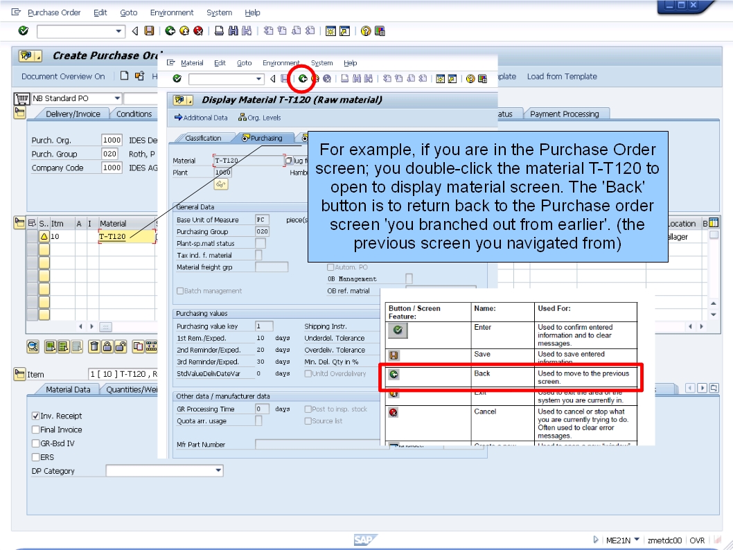 青蛙SAP分享 Froggy's SAP sharing: N13 SAP Buttons/ICONS Explained