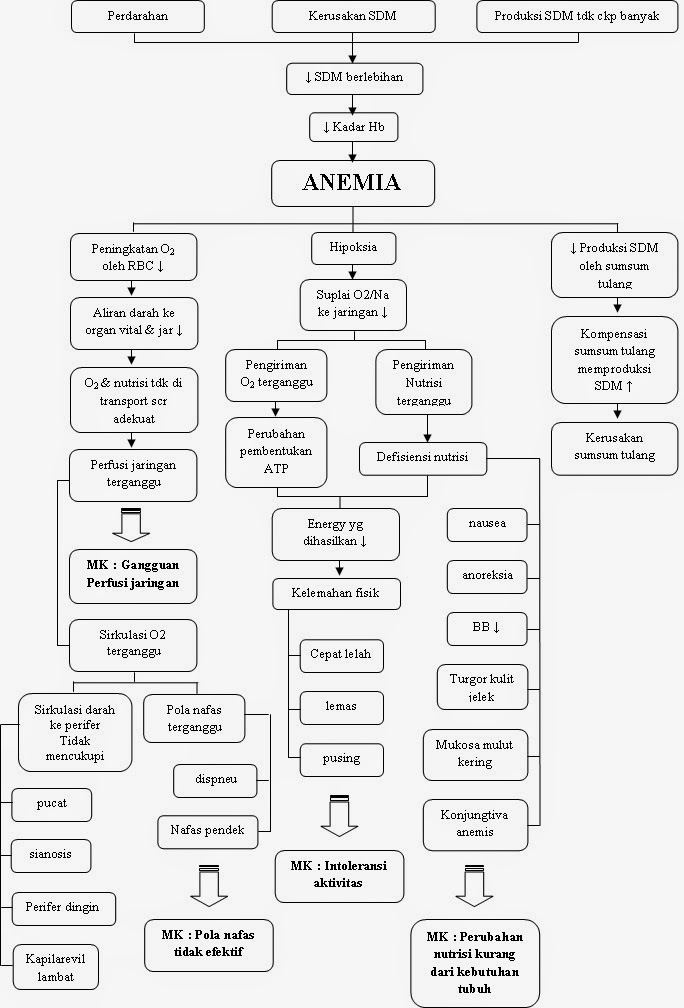 Berbagi dan Beramal: Kumpulan WOC : WOC Anemia