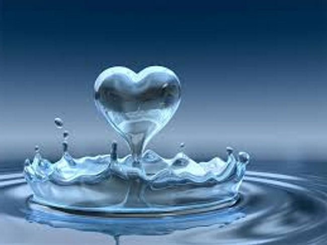 Kristus Ministry: Artikel - Keberadaan Hati Nurani