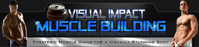 Visual Impact Muscle Building: What is Visual Impact Muscle Building