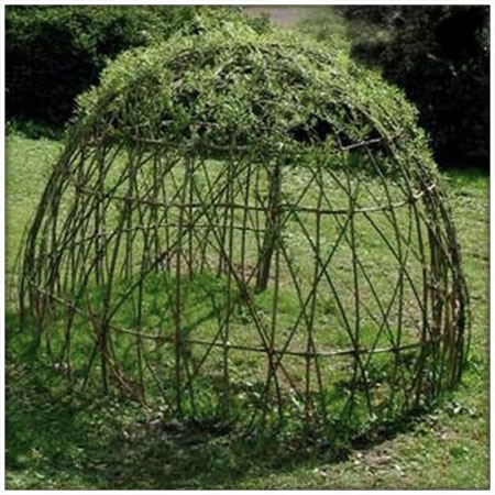 WILLOWWEAVERS TASMANIA: Living Willow Weaving