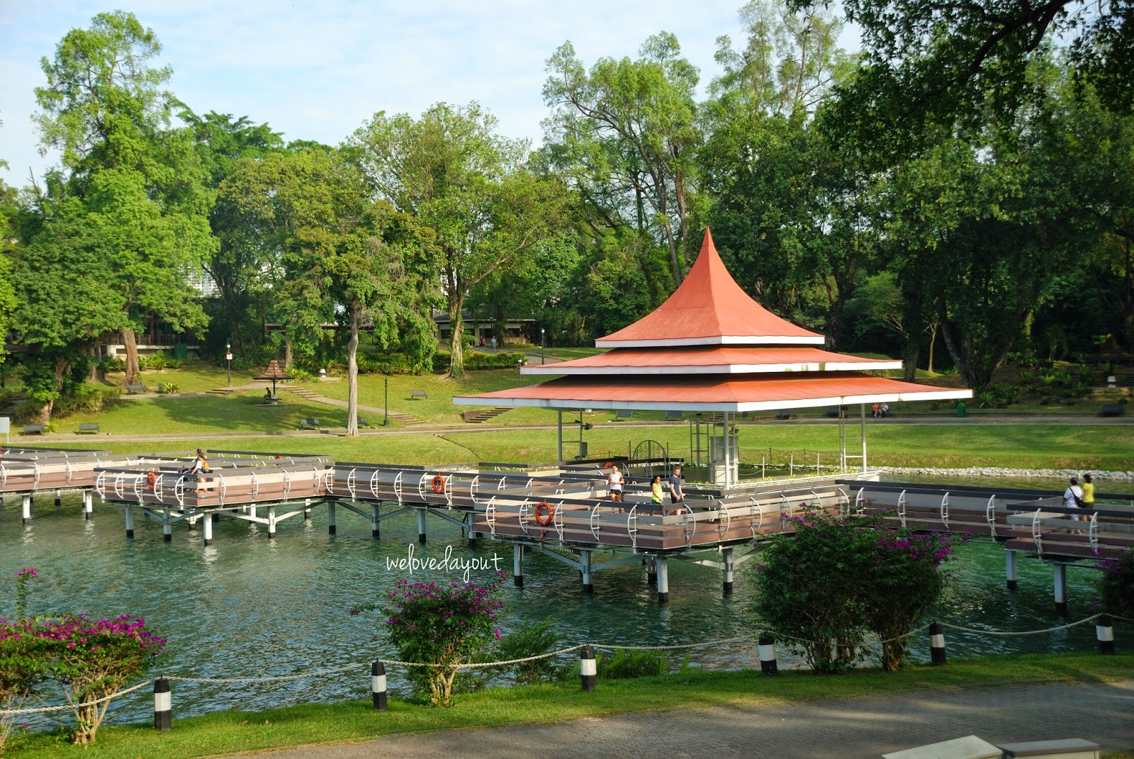 welovedayout: Fun Day Out at MacRitchie Reservior Park | Singapore's ...