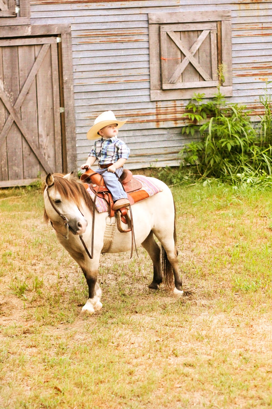 Pony Riding Fun! - the farmer and the southern belle
