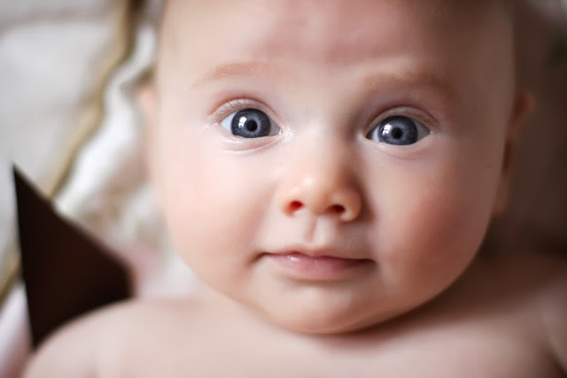 Andrea Finnegan Photography