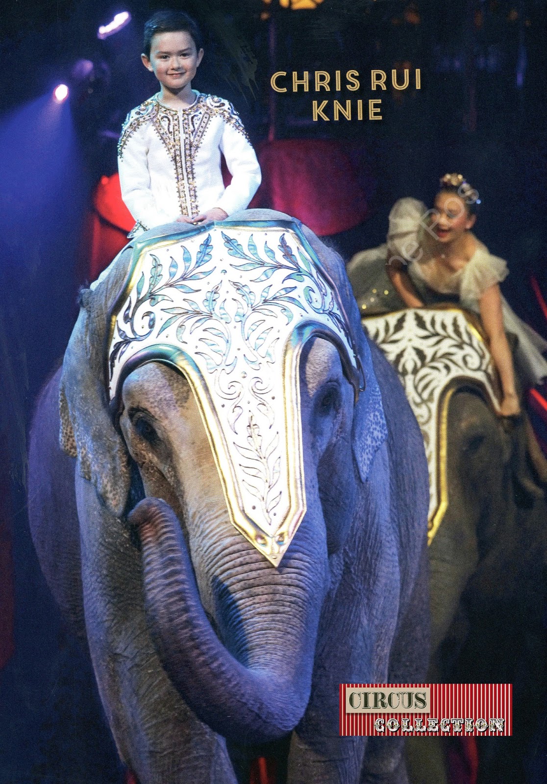 Circus -Collection: Les éléphants au cirque Knie 2000-2015