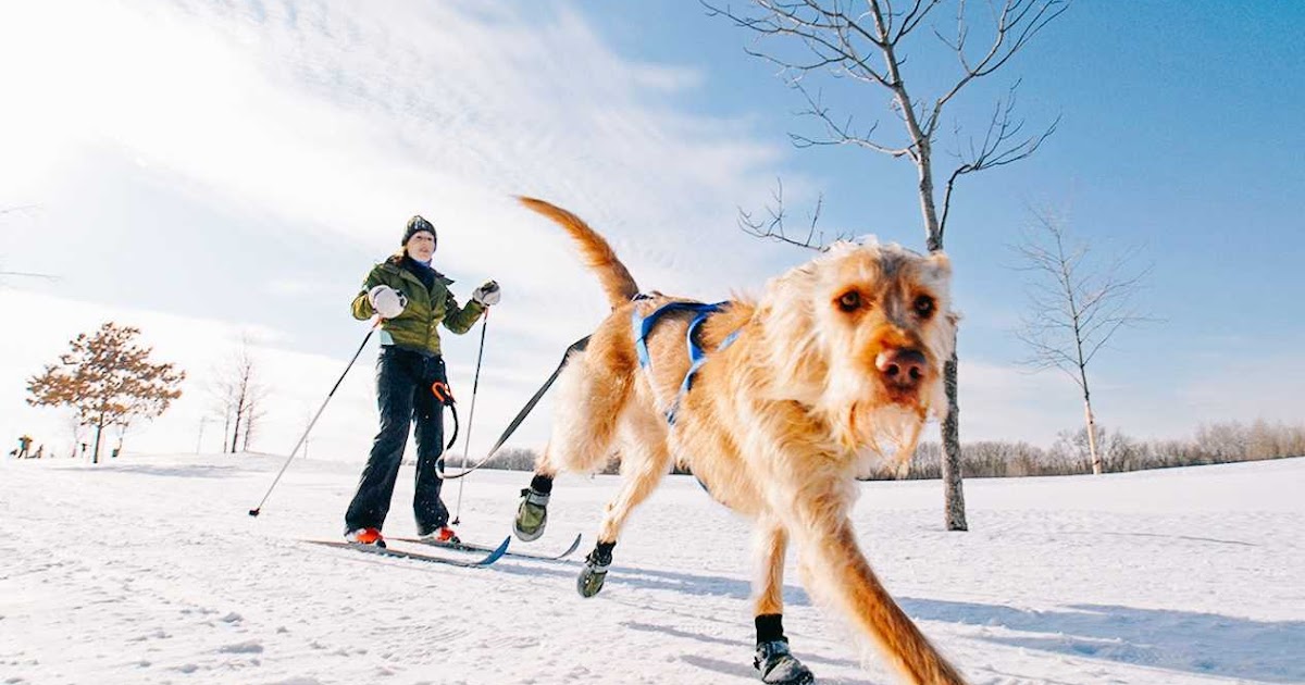 Compendium: Thrillist: The Best Winter Activities To Remind You ...