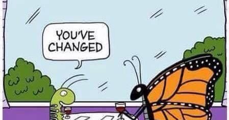 Mega Lolcano: You've changed.