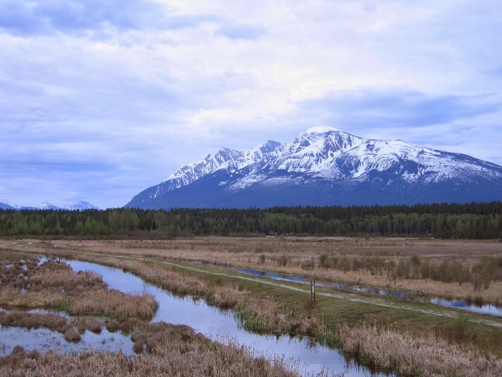 Turtle Mountain Reservation