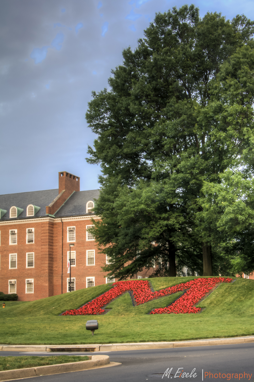 Mag's Photos: UMD Early Morning (color)