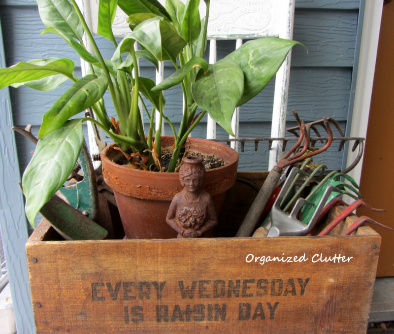 My Garden Tour 2013 - Organized Clutter