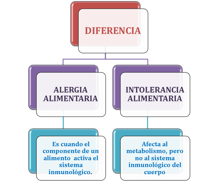 Be Fullness: ALERGIAS ALIMENTARIAS vs. INTOLERANCIAS ALIMENTARIAS