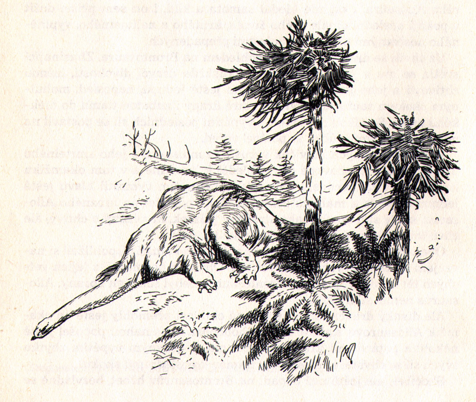 Zdeněk Burian: Dead Brontosaurus