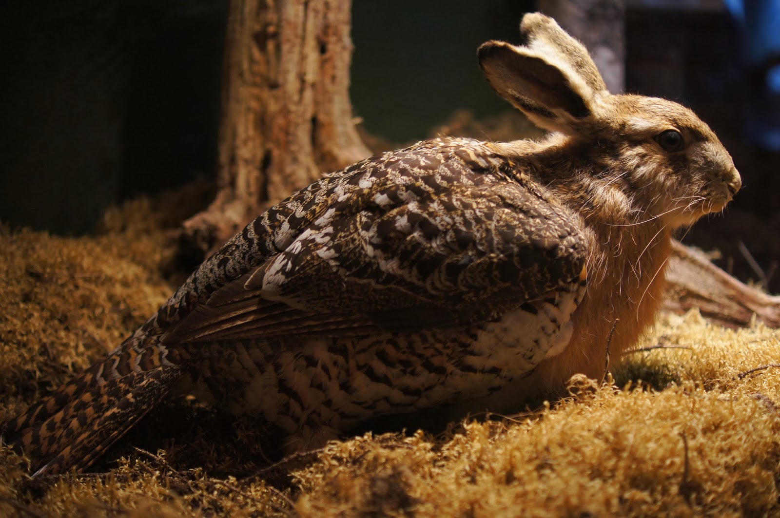 The Adventures of Pink Hair: Skulking About in Stockholm