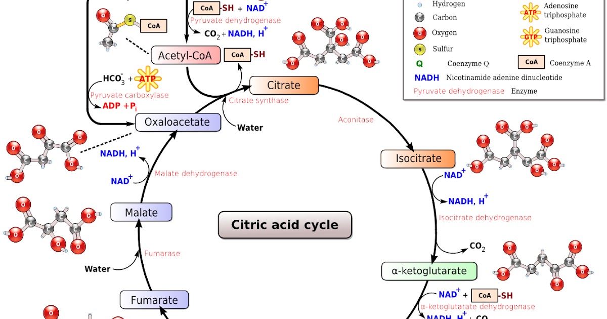 HERE IS NOT MY HOMETOWN: TUBUHKU....PABRIK REAKSI KIMIA KU..... (PART 3)