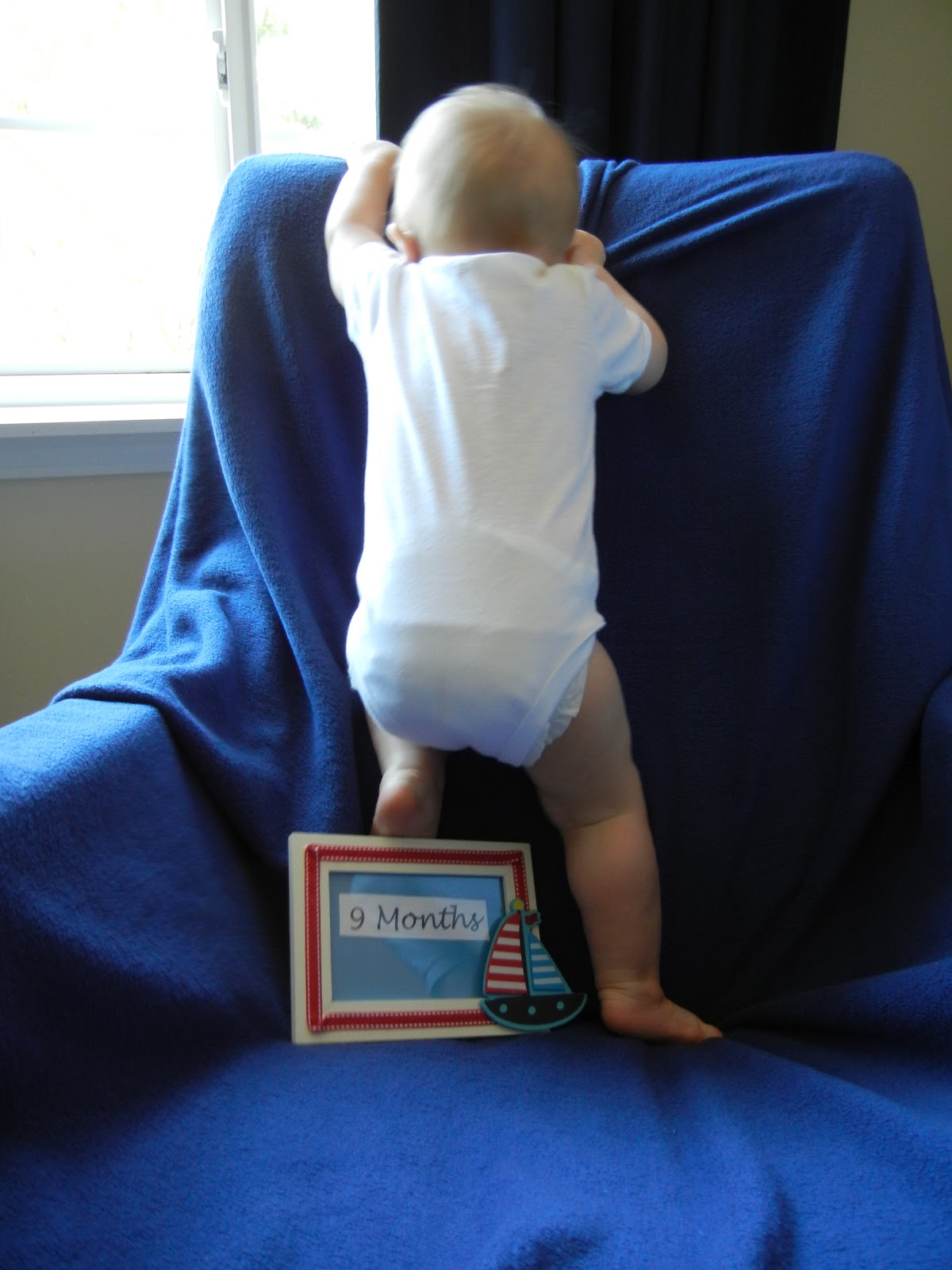 Malic Love: 9 Month Photo Shoot