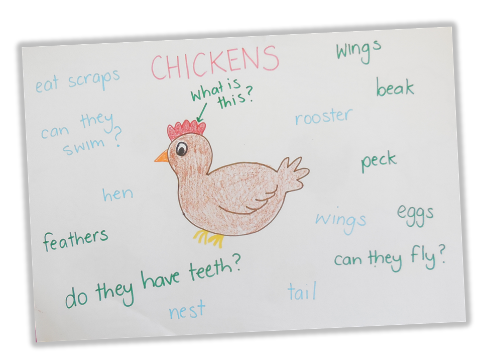 Early Years Fun: It's chicken week! (with freebies!)