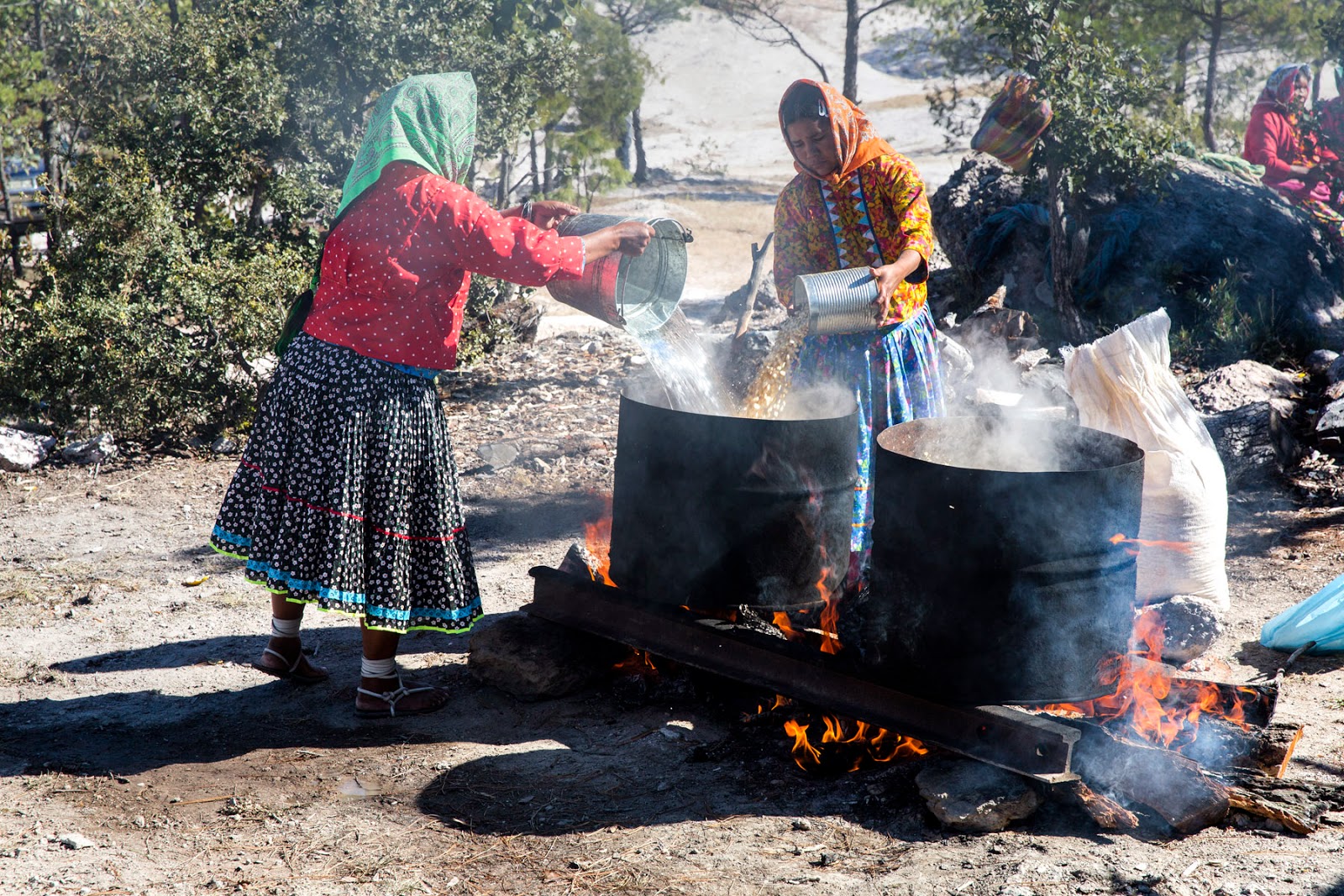 El maíz dentro de la cultura rarámuri | CONTEC A.C.