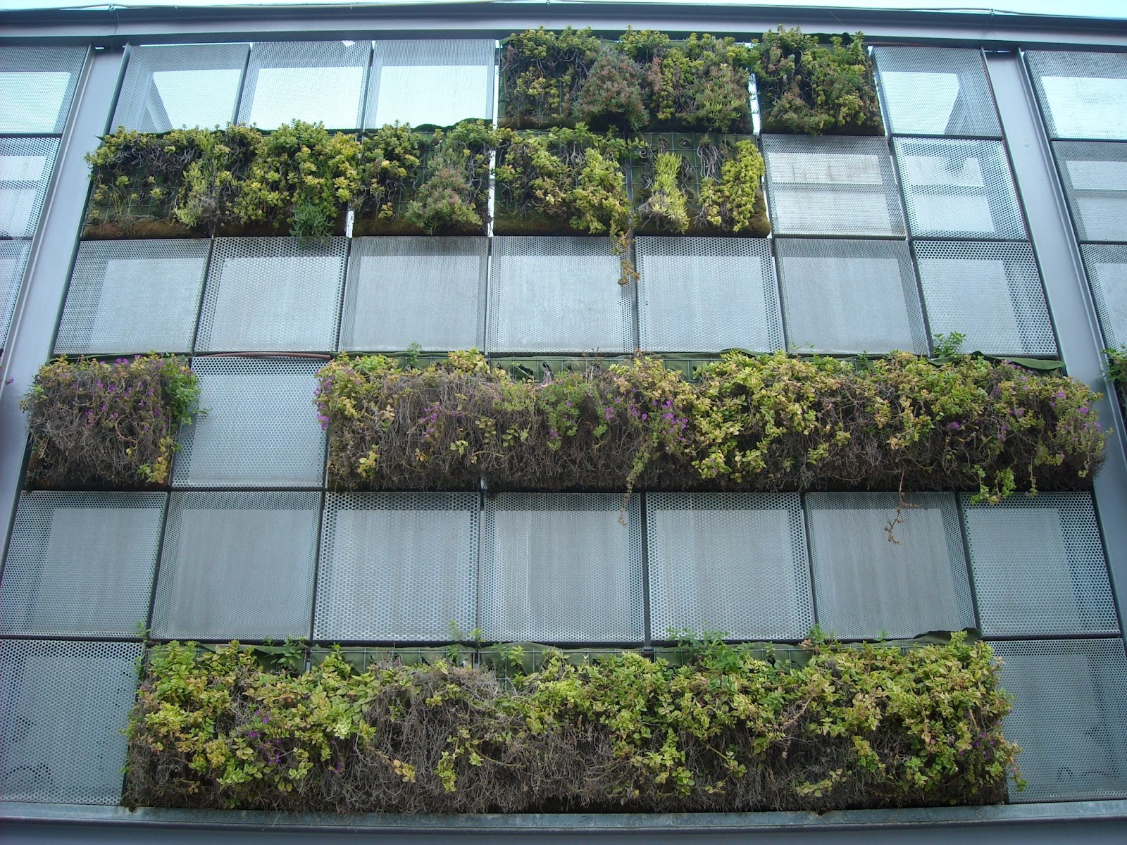 Arquitectura + Ingenio: Fachadas Verdes Barcelona