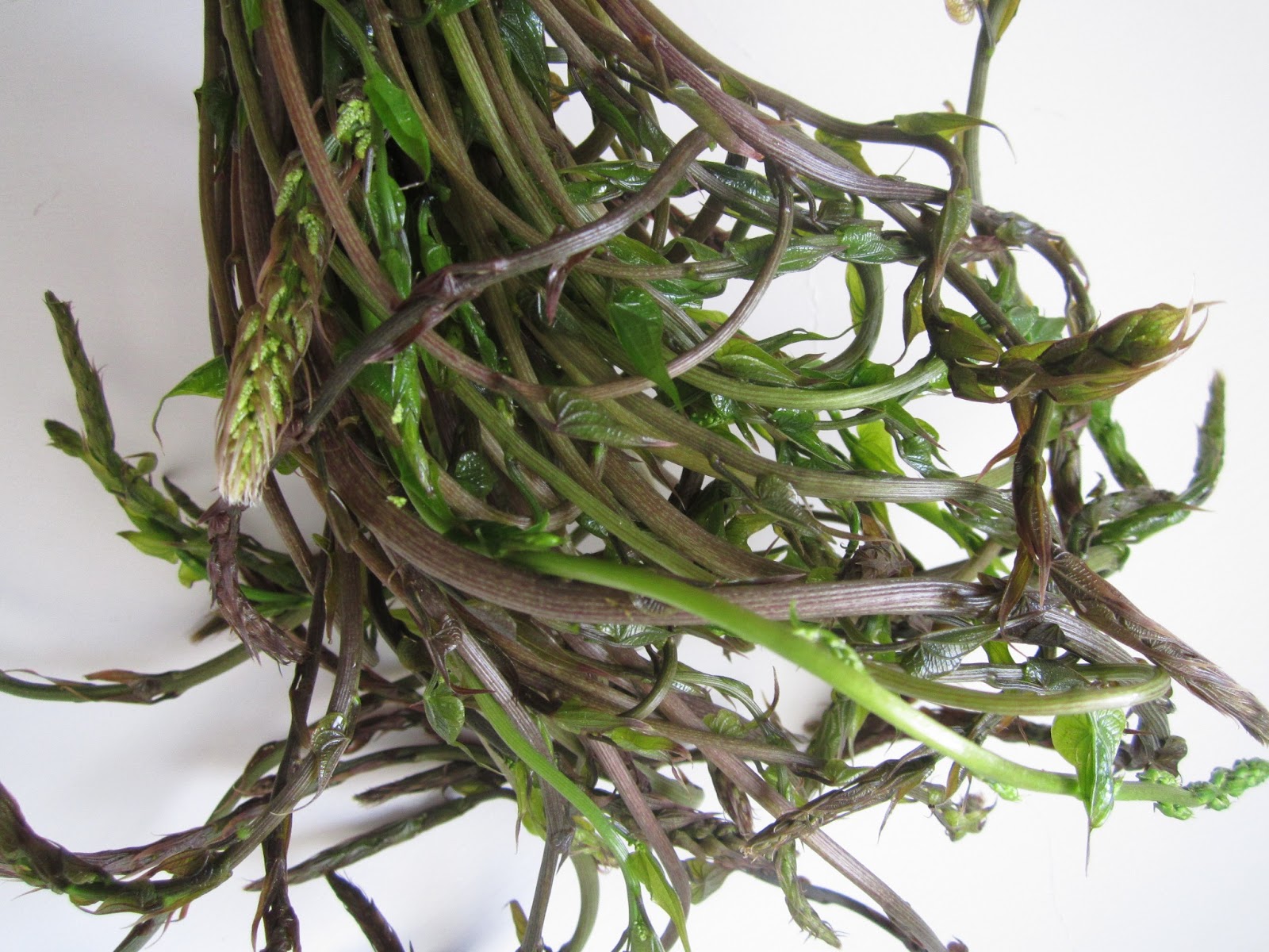 Mi piace fare: Zuppa di rafani