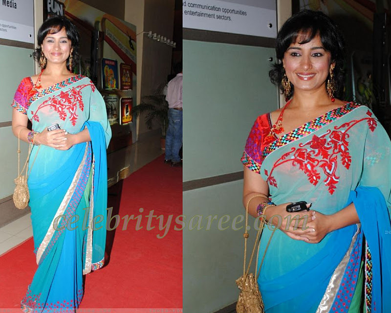 Divya Dutta Designer Saris Collection - Saree Blouse Patterns