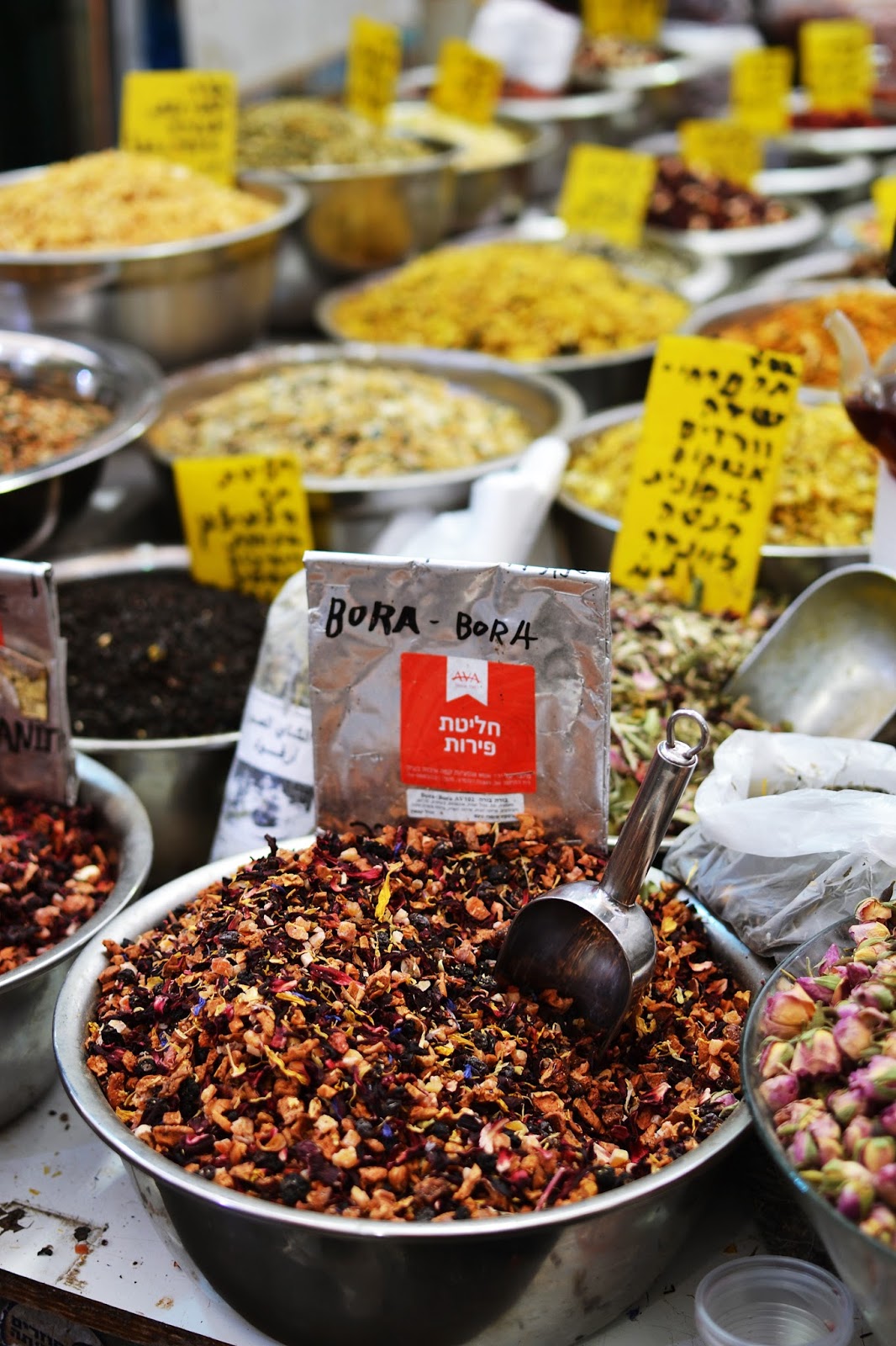 payton marie: TRAVELS: ISRAEL | PART TWO