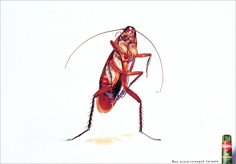 .: Prints con creatividad