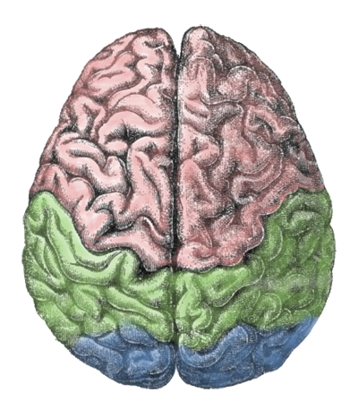 Boererate.com: ’n Goeie nagrus belangrik