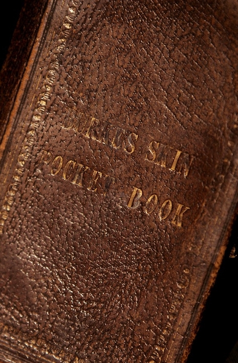 The Study: The Disordered Dissection of the Fiendish Felon