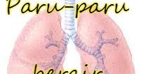 Blog Lia: Punca Penyakit Paru-paru Berair Dan Cara Merawat